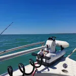 Haswing Cayman B GPS Gen 1.6 Review detaliat – Control GPS & Cruise ...